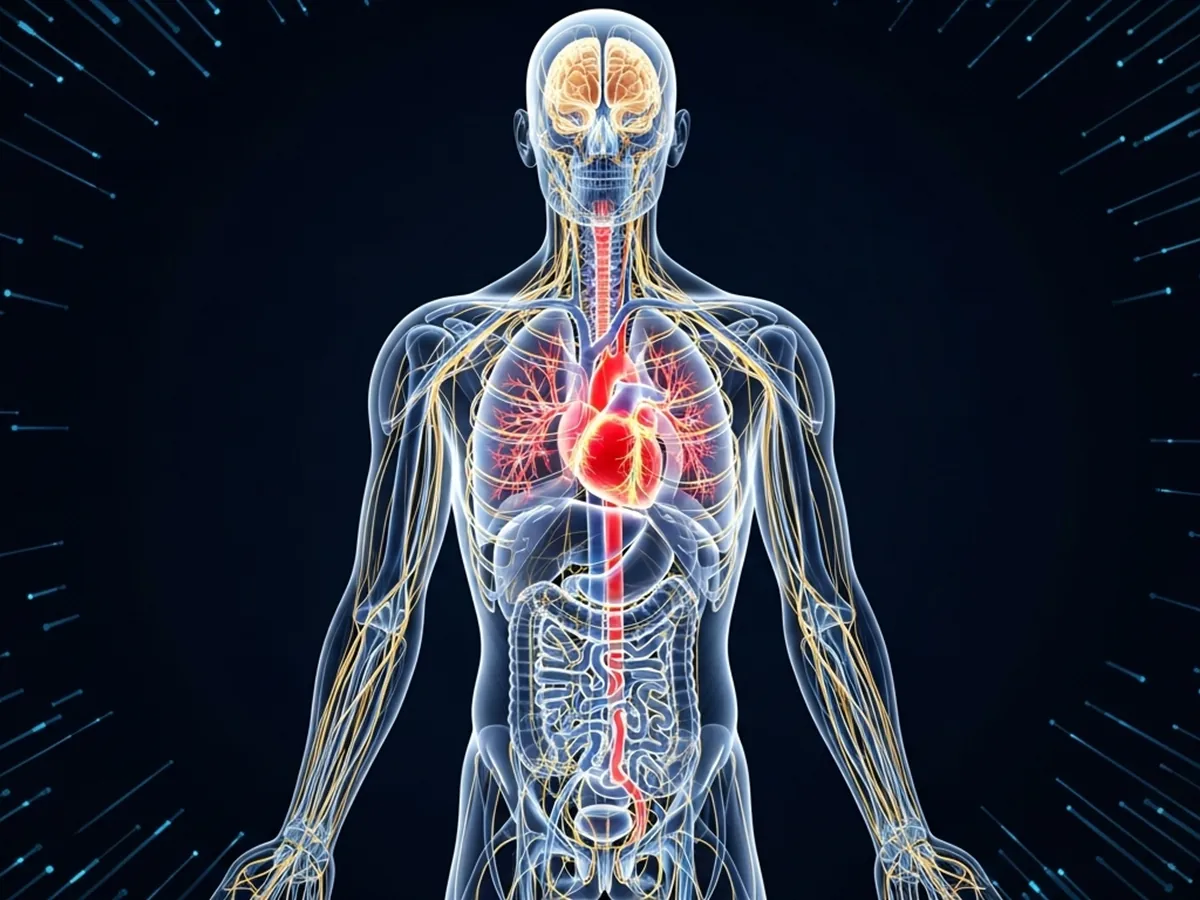 AO Scanner Price in Las Vegas | Dynamic Spine & Sport Rehabilitation